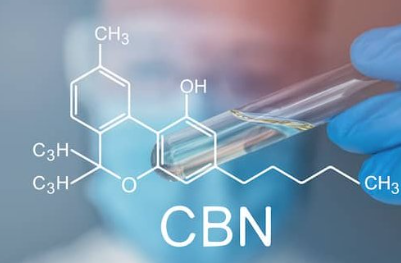 Discovering CBN: Effects, Dosage, and Benefits | Cannadorra.com